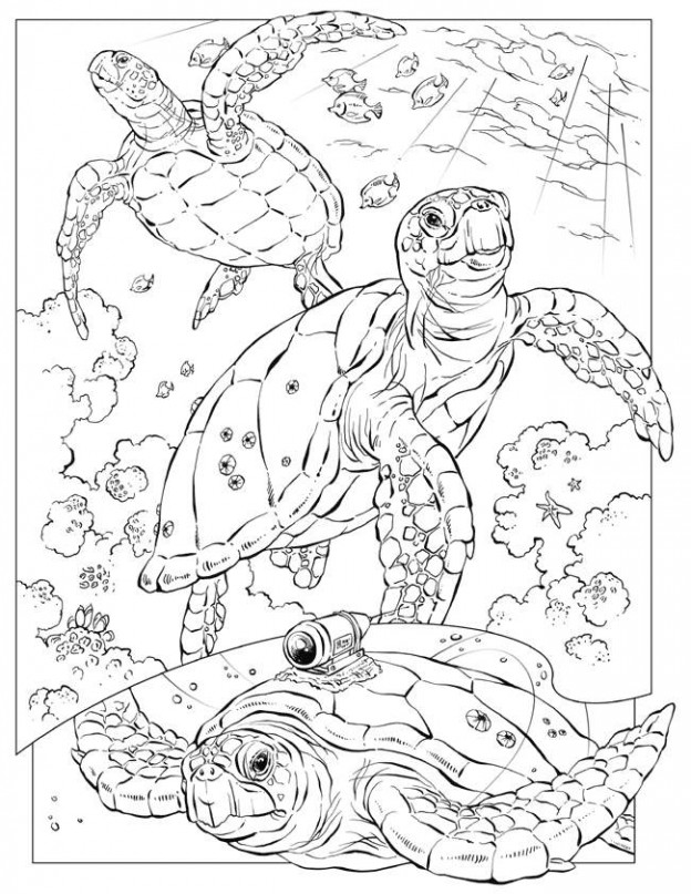 Free Printable Ocean Coloring Pages For Kids