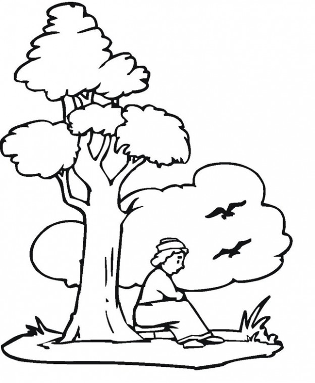 Free Printable Tree Coloring Pages For Kids