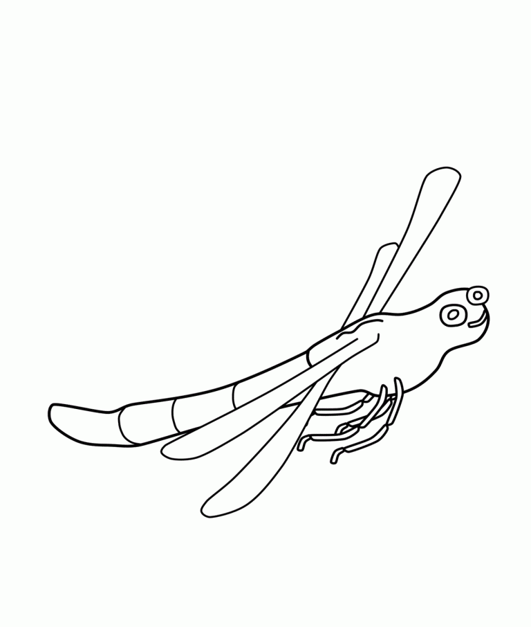 Free Printable Dragonfly Coloring Pages For Kids