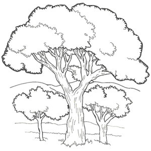 Free Printable Tree Coloring Pages For Kids