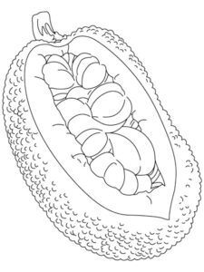 Free Printable Fruit Coloring Pages For Kids