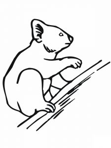 Free Printable Koala Coloring Pages For Kids