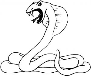 Free Printable Snake Coloring Pages For Kids