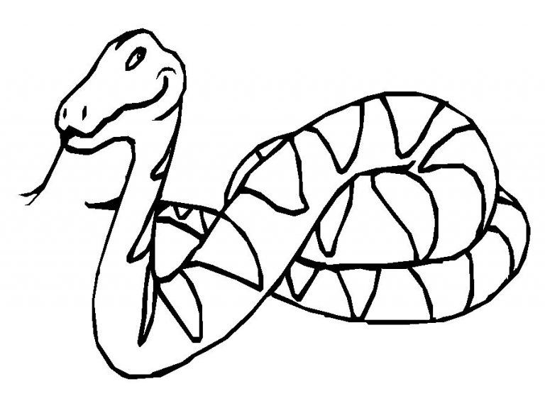 Free Printable Snake Coloring Pages For Kids
