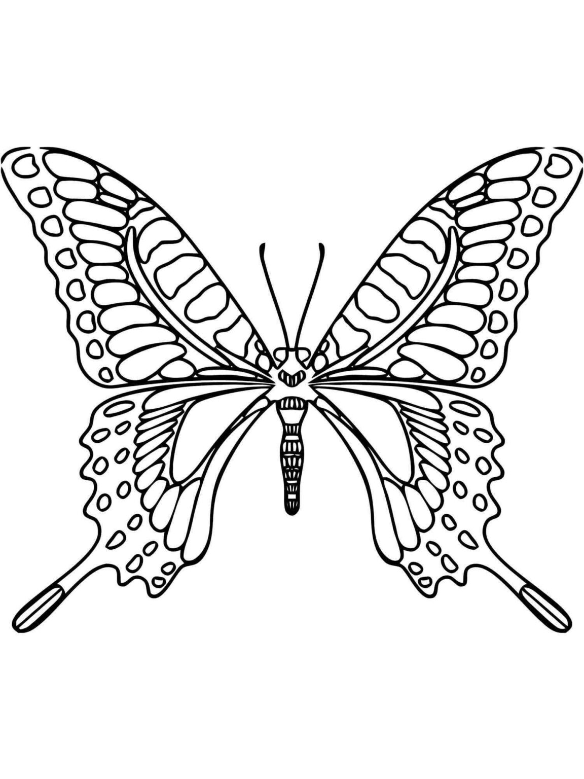 Free Printable Butterfly Coloring Pages For Kids