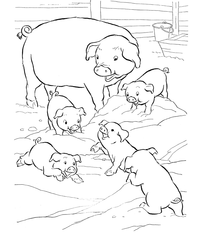 Pigs Mewarnai Colorare Cochons Cerditos Anak Coloriage Disegno Pintar