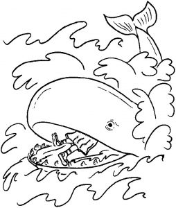 Free Printable Whale Coloring Pages For Kids