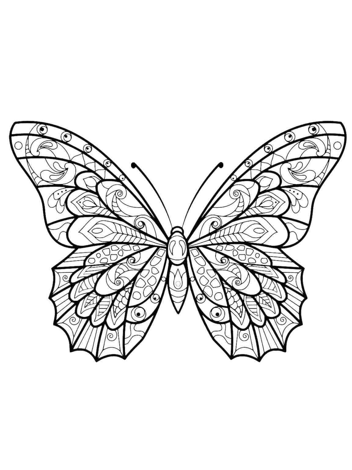 Free Printable Butterfly Coloring Pages For Kids