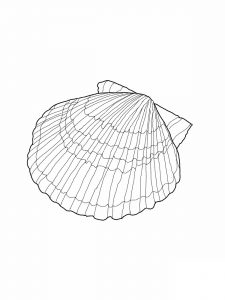 Free Printable Seashell Coloring Pages For Kids