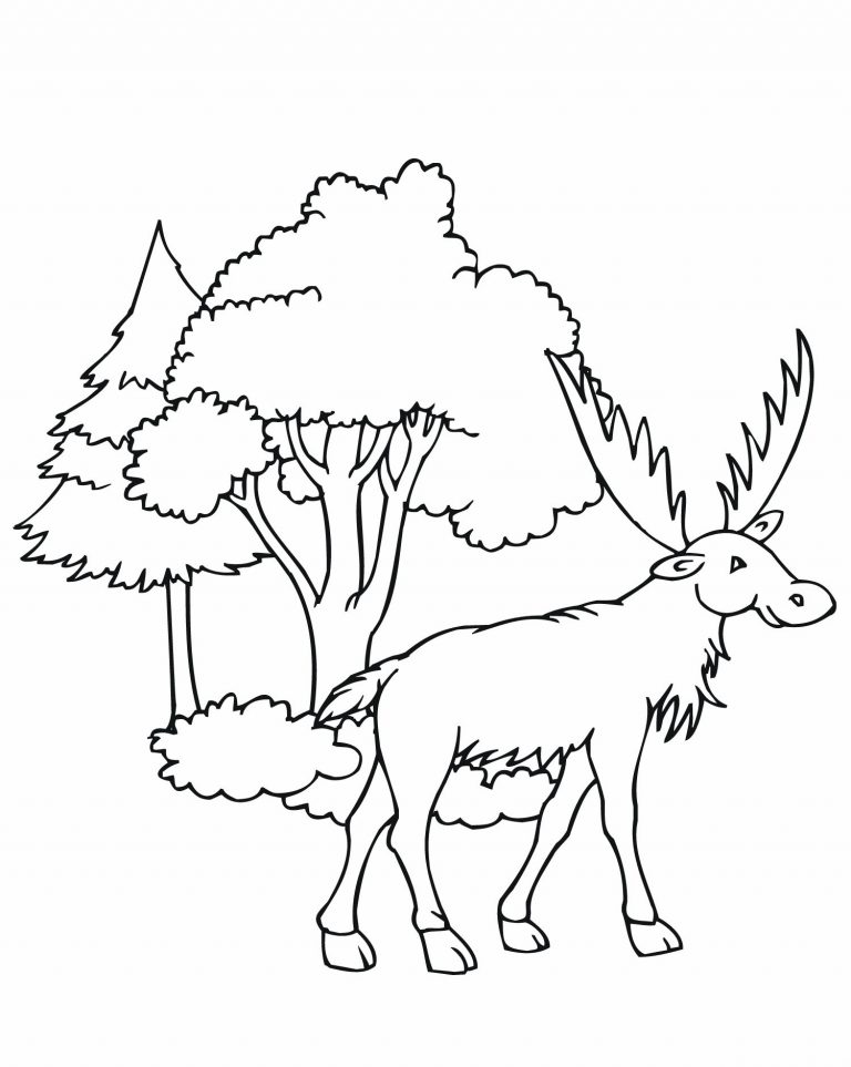Free Printable Moose Coloring Pages For Kids
