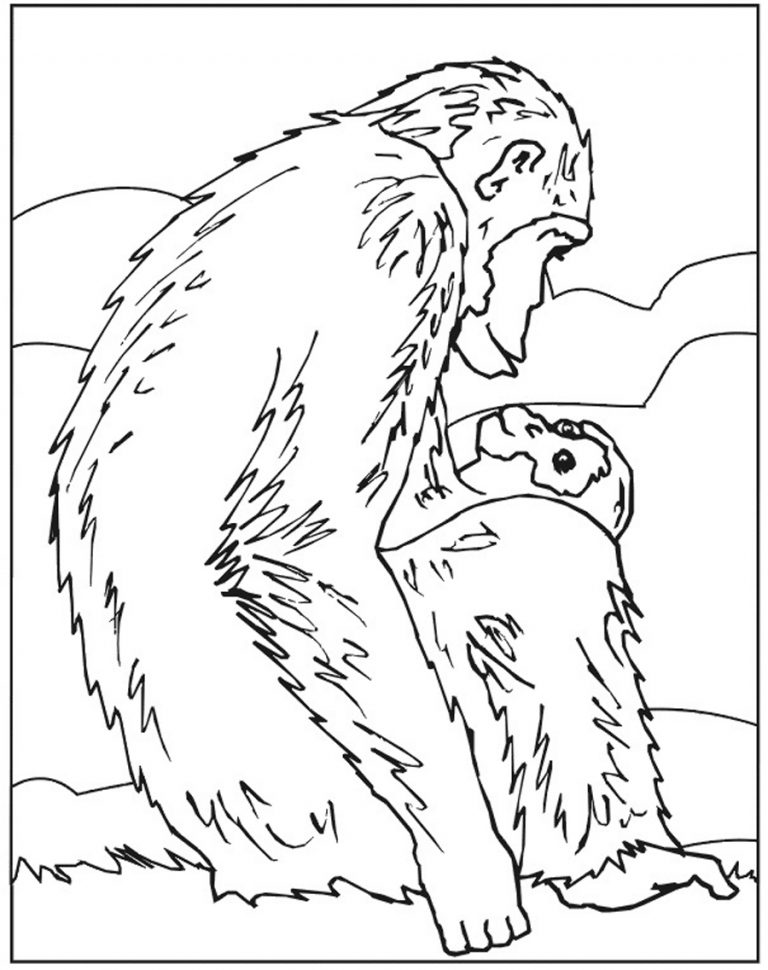 Free Printable Chimpanzee Coloring Pages For Kids