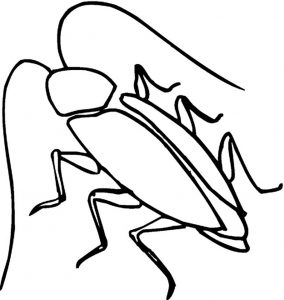 Free Printable Cockroach Coloring Pages For Kids