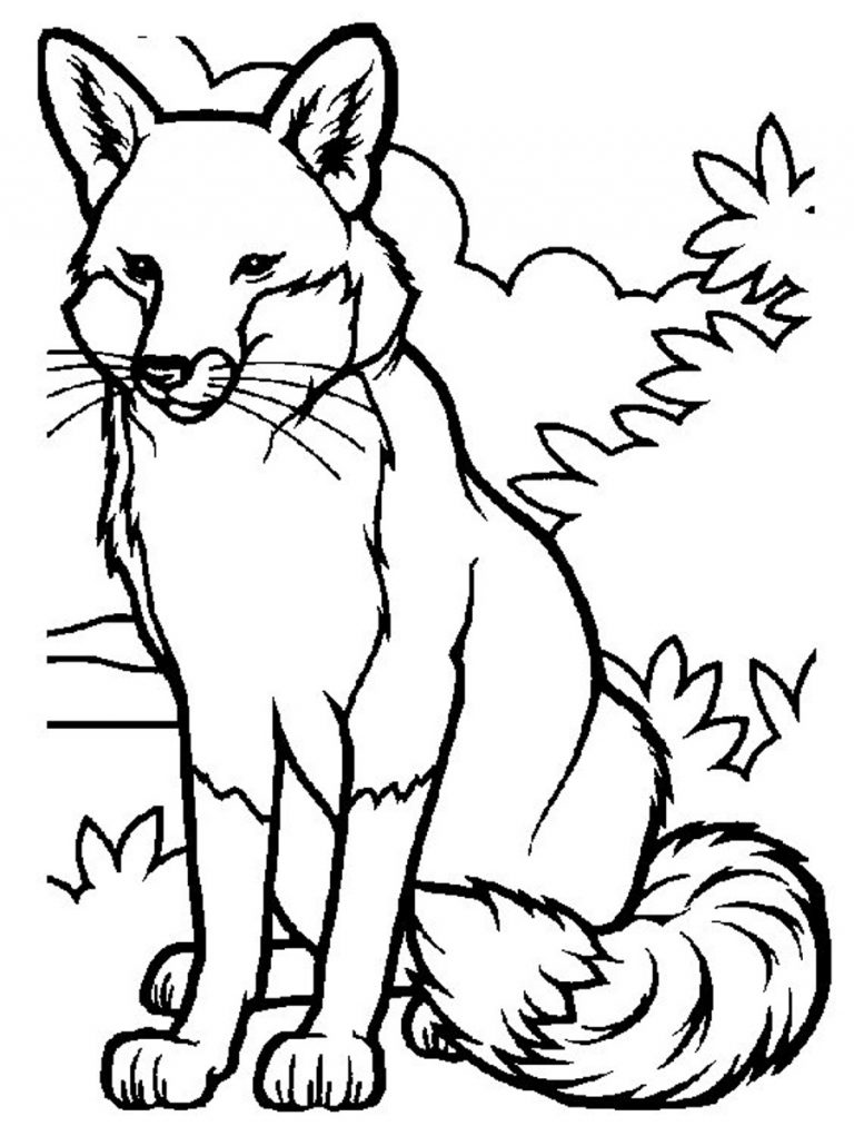300+ Animal Coloring Pages Coloring Pages! Free! Download Our Huge ...