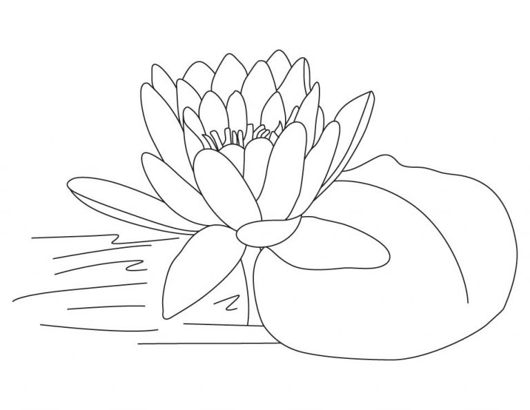 Free Printable Lotus Coloring Pages For Kids