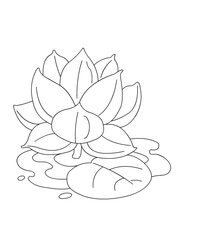 Coloring Pictures Of Lotus Flower Coloring Pages