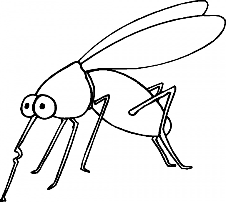 Free Printable Mosquito Coloring Pages For Kids