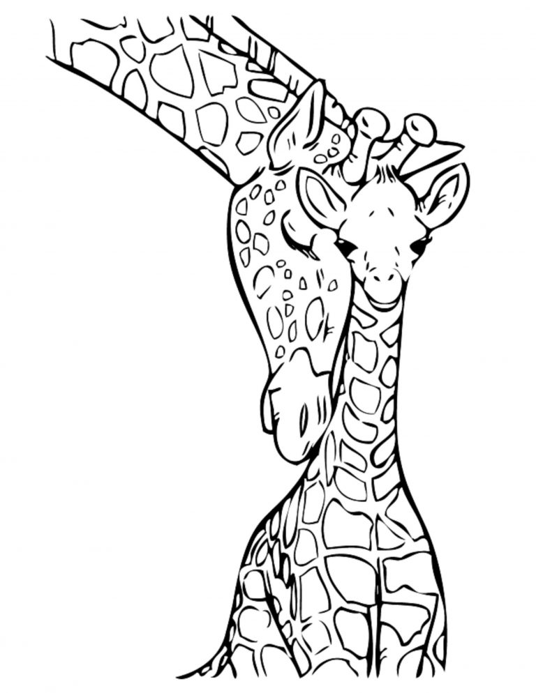 Jungle Coloring Pages - Best Coloring Pages For Kids