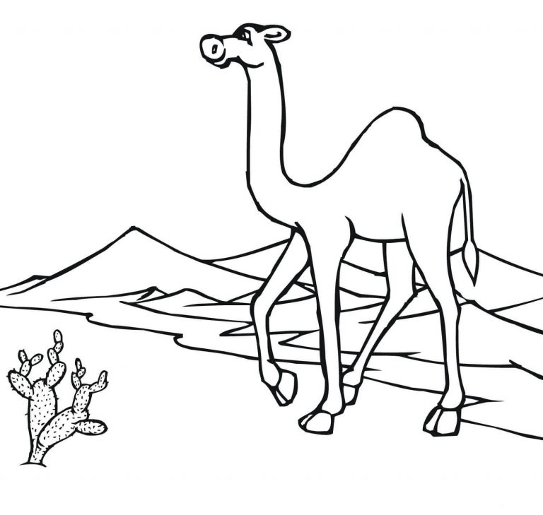 Desert Coloring Pages - Best Coloring Pages For Kids