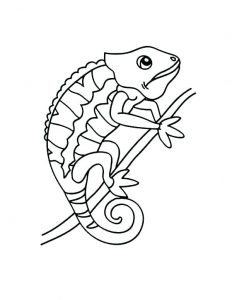 Chameleon Coloring Pages - Best Coloring Pages For Kids