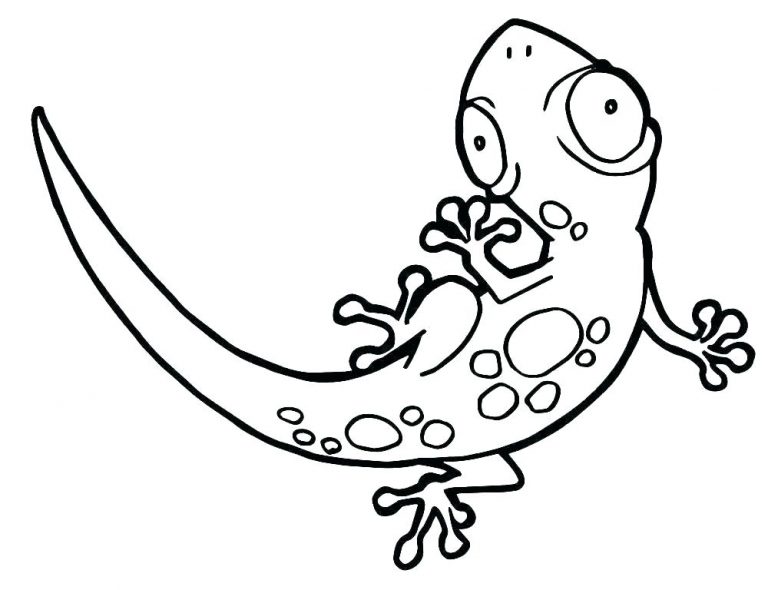 Gecko Coloring Pages - Best Coloring Pages For Kids