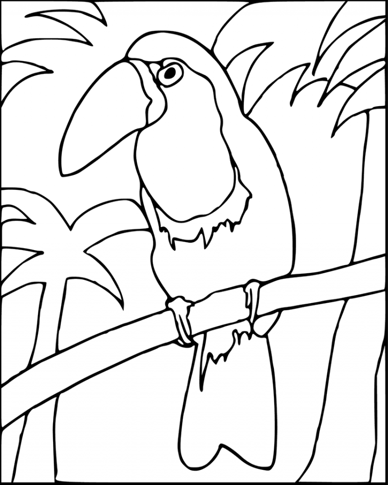 Toucan Coloring Pages - Best Coloring Pages For Kids