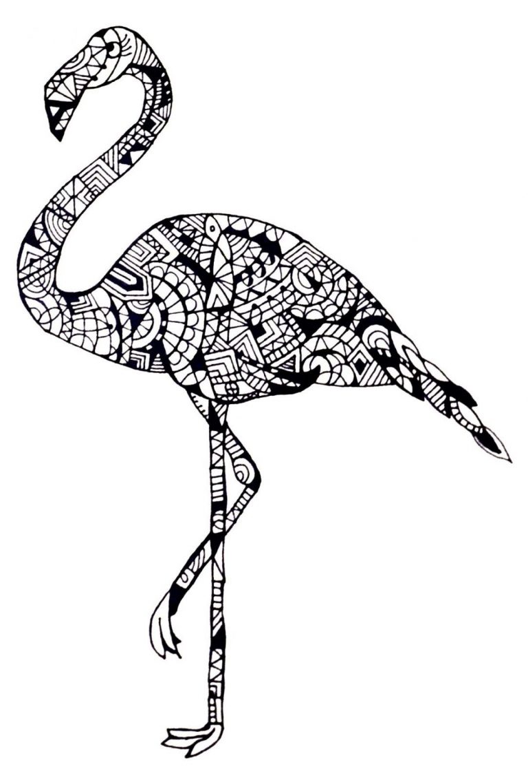 Flamingo Coloring Pages - Best Coloring Pages For Kids