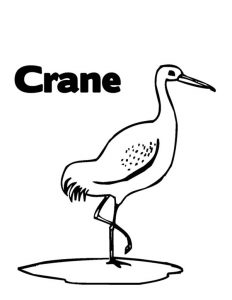 Crane Coloring Pages - Best Coloring Pages For Kids