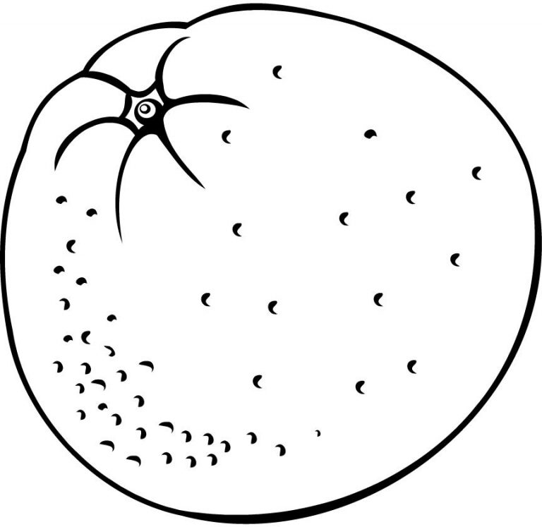 Oranges Coloring Pages - Best Coloring Pages For Kids
