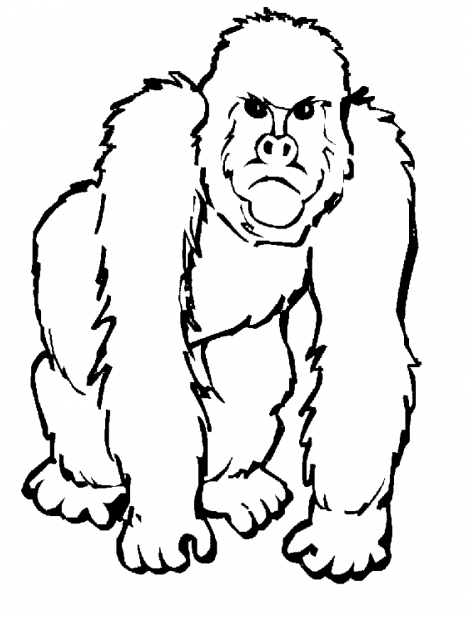 Ape Coloring Pages Best Coloring Pages For Kids