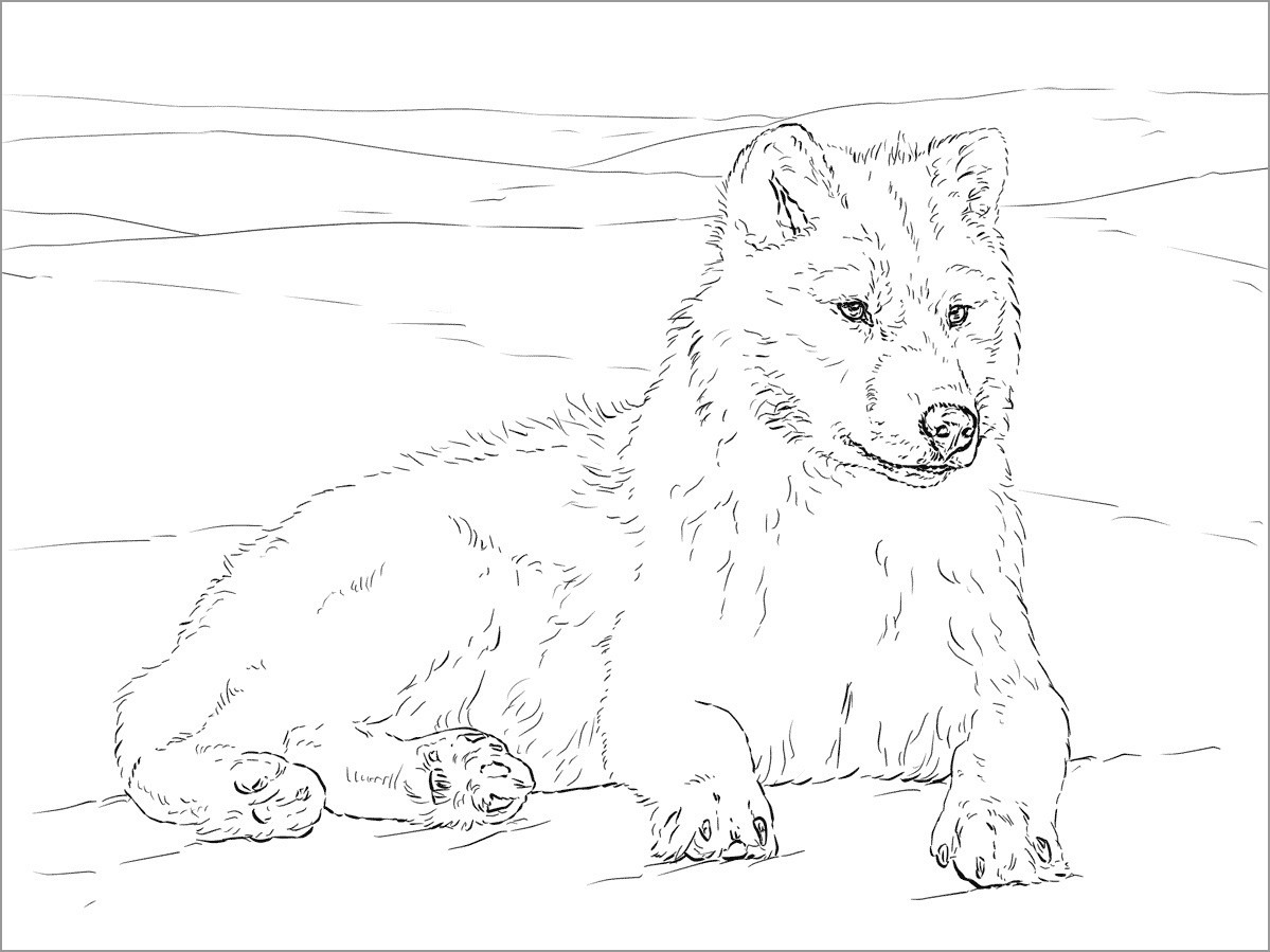 Tundra Coloring Pages - Best Coloring Pages For Kids