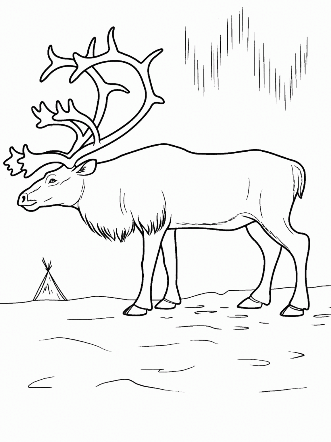 Tundra Coloring Pages - Best Coloring Pages For Kids