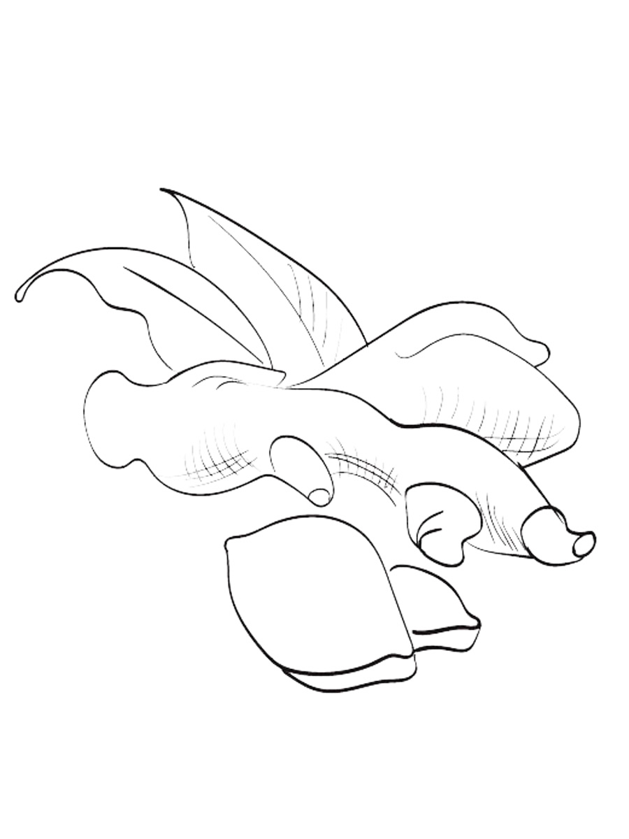 Herbs Coloring Pages - Best Coloring Pages For Kids