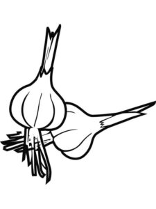 Herbs Coloring Pages - Best Coloring Pages For Kids