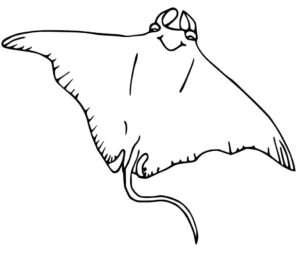 Manta Ray Coloring Pages - Best Coloring Pages For Kids