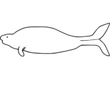 Dugong Coloring Pages - Best Coloring Pages For Kids