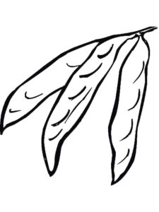 Peas Coloring Pages - Best Coloring Pages For Kids