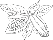 Columbia Coloring Pages - Best Coloring Pages For Kids