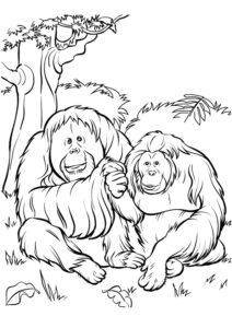 Congo Coloring Pages - Best Coloring Pages For Kids