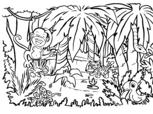 Amazon Rainforest Coloring Page - Best Coloring Pages For Kids