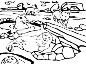 Arctic Animals Coloring Pages - Best Coloring Pages For Kids