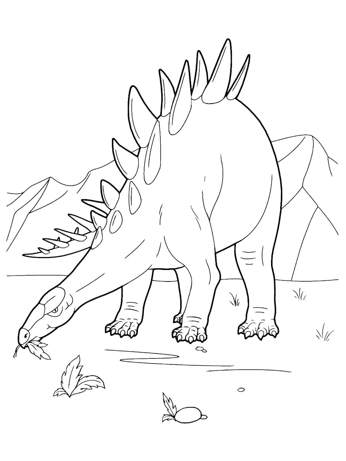 Stegosaurus Coloring Pages - Best Coloring Pages For Kids