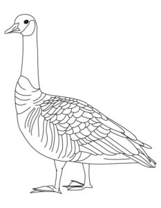 The Golden Goose Coloring Page - Best Coloring Pages For Kids