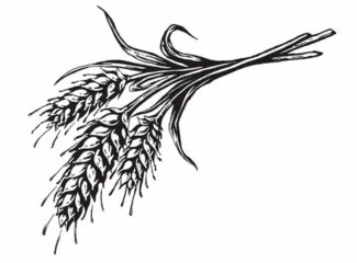 Wheat Coloring Pages - Best Coloring Pages For Kids