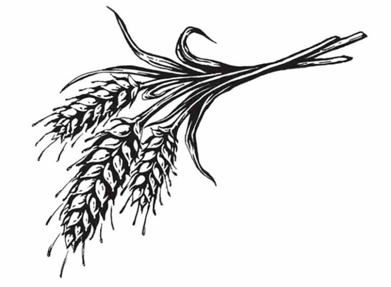 Wheat Coloring Pages - Best Coloring Pages For Kids