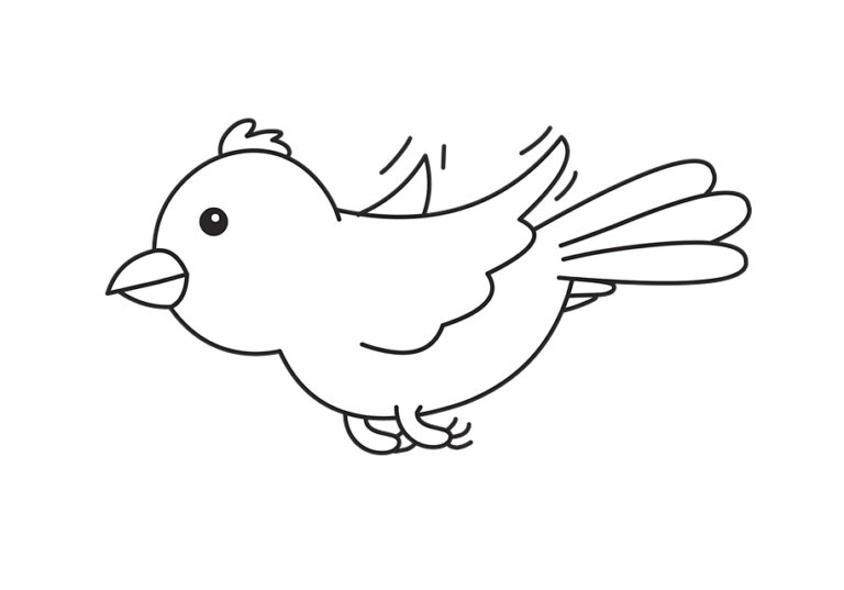 Bird Coloring Pages - Best Coloring Pages For Kids